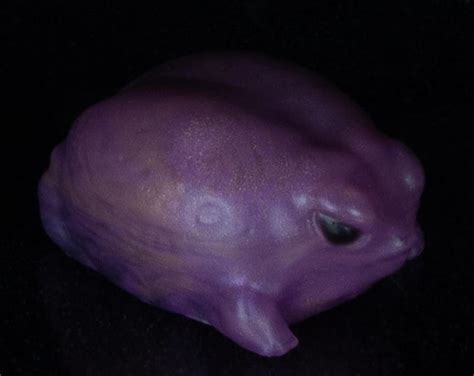 Pebbles The Frog Squishy Fidget Toy Small Soft Silicone Etsy