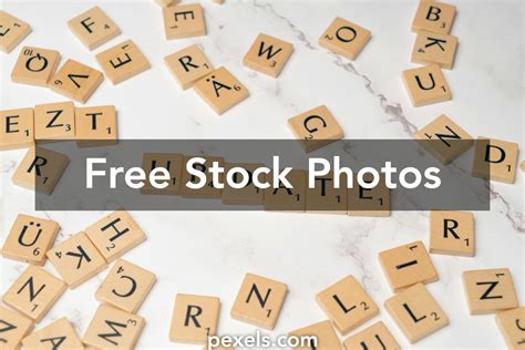 Evolve And Adapt Photos Download The Best Free Evolve And Adapt Stock