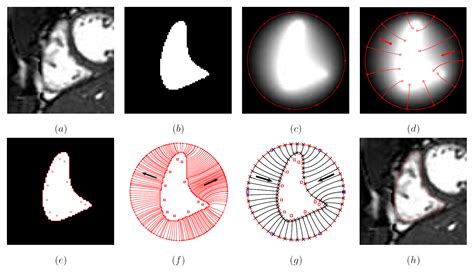 Scientific Imaging And Visualization