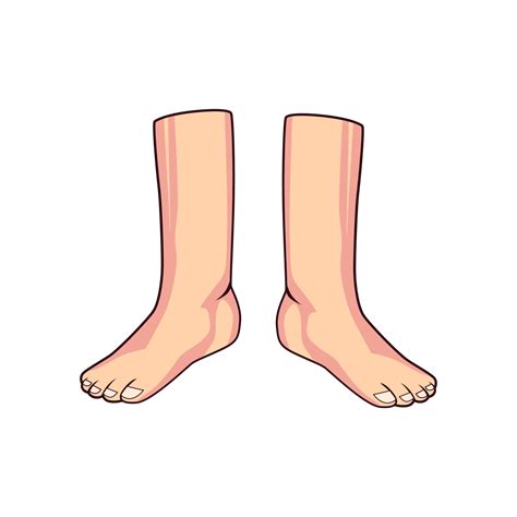 Cartoon Illustration Foot Isolated White Backgound 8289390 Vector Art