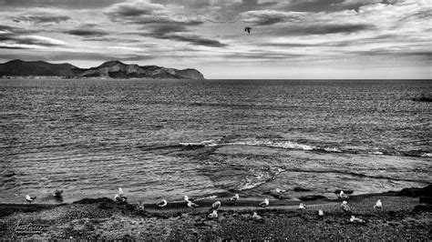 Aspra Black And White 2