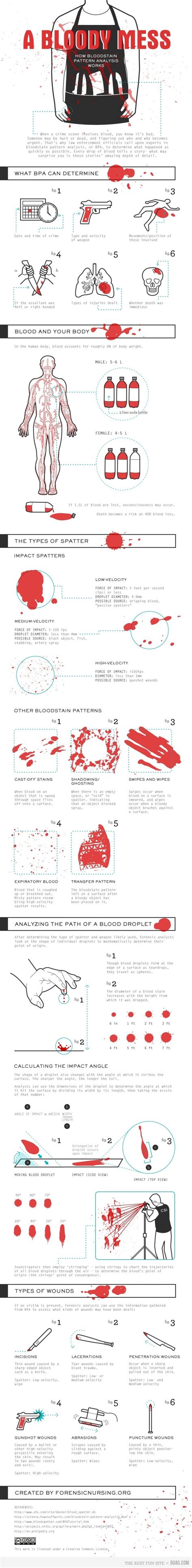 How Bloodstain Pattern Analysis Works Tfe Times