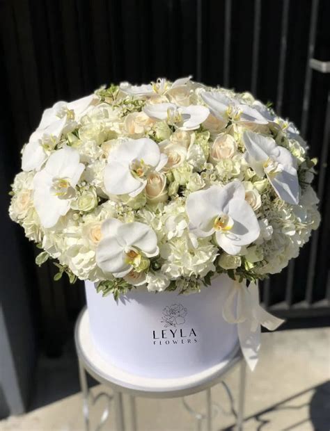 Orchids Roses Hydrangeas Spray Roses Carnations By Leyla Flowers