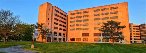 Cc Lab Cerebellar Connectivity Underlying Nonmotor Behaviors