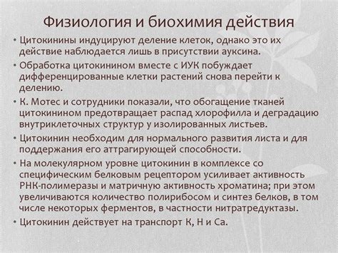 Фитогормоны - презентация онлайн