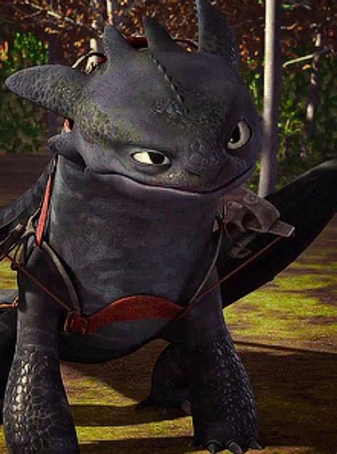 Spyro And Toothless Rhttyd