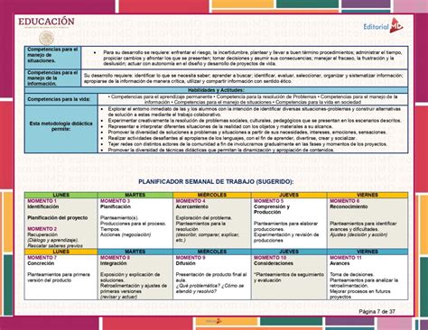 Programa Analitico Primaria Nem Plan Analitico Contestado