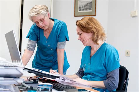 Classificatiemodellen Wat Is De Nursing Intervention Classification