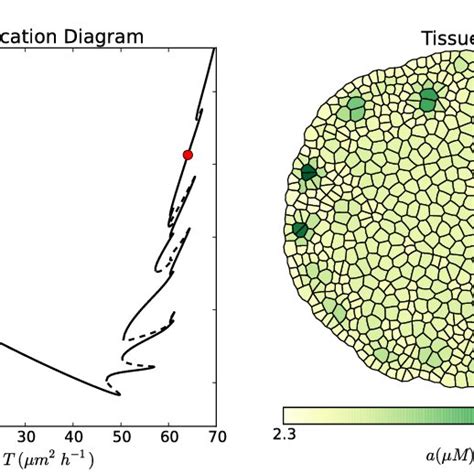 Bifurcation Diagram Of The Logistic Map Using Maple Download