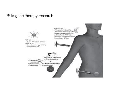 Plasmid Ppt Biotech And Biomedical Industry Industries