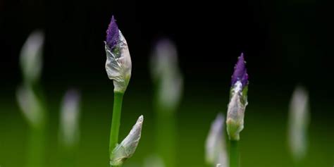 Bob Mccloskey Photography