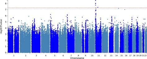 Manhattan Plot Manhattan Plot Of Log 10 P Values Vs Snp Position For Download Scientific