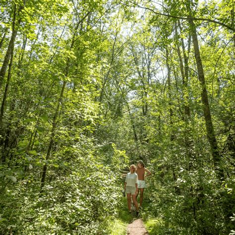 Basis Weight Vs Thickness What Do These Paper Measurements Mean