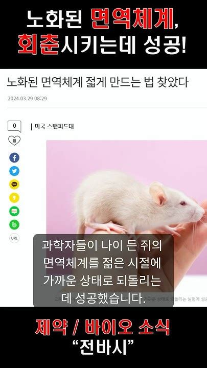 노화된 면역체계 젊었을 때 상태로 회복시켜는데 성공 조혈모세포가 회춘의 답 바이오 연구 생명과학 과학 과학 bio