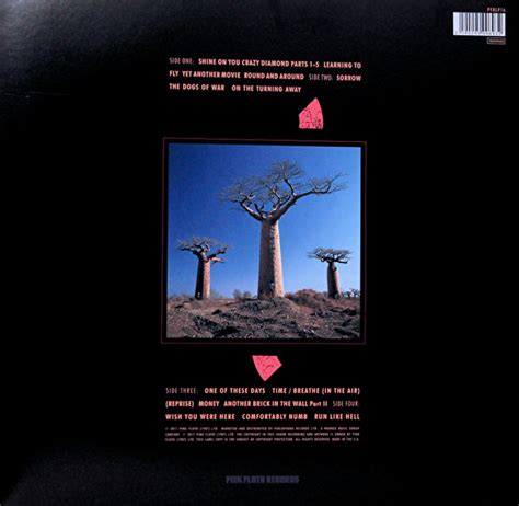 Pink Floyd Delicate Sound Of Thunder 2017 Reissue Remastered