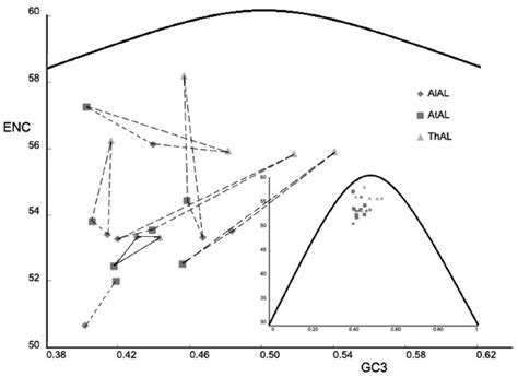 Effective Number Of Codons Enc Used In A Gene Versus The Percent Gc Download Scientific