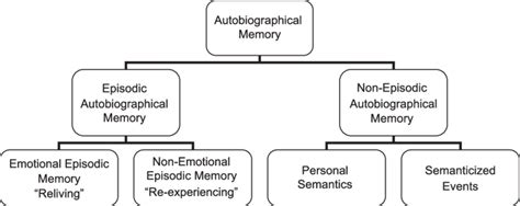 A Modifi Ed View Of The Episodic Semantic Distinction Within Download Scientific Diagram