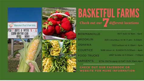 Yvonnes Diaper Creations I Havent Made A Jungle Diaper Cake In