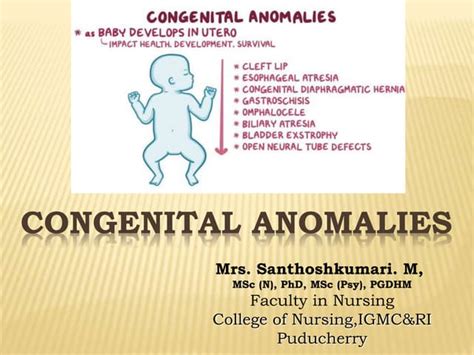 Congenital Anomaliesneural Tube Defects Birth Defects Pptx