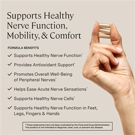 Dynamic Nerve Ala Supplement