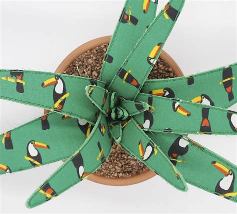 Aloe Vera De Tela Modelo Tucanes