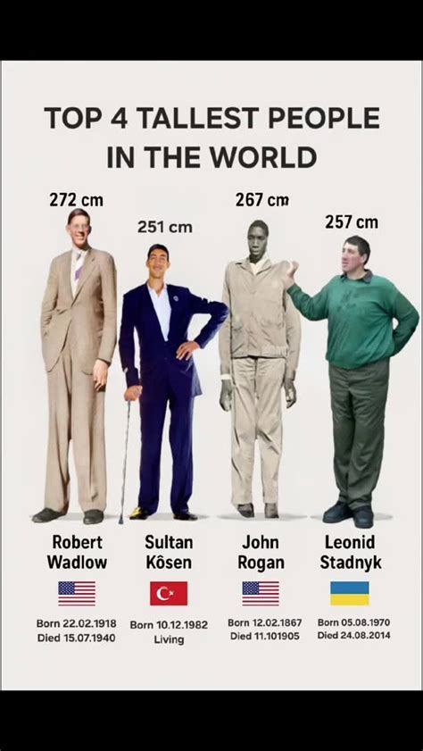 Tallest Man In The World In Cm