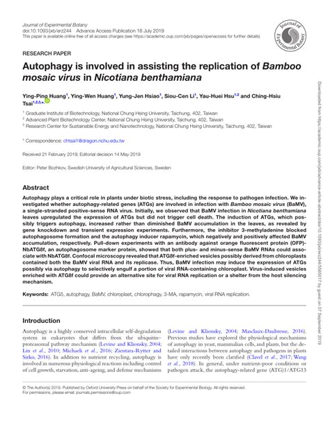 Pdf Autophagy Is Involved In Assisting The Replication Of Bamboo
