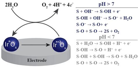 Schematic Representation Of The Electrochemical Oxidation Of Water