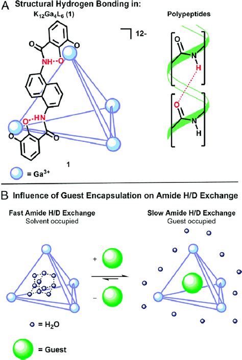a structurally important hydrogen bonding in tetrahedron 1 lines