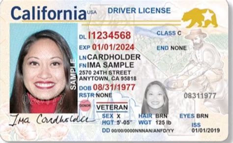 Nueva York Agregará La X En El Documento De Identidad Para Personas De