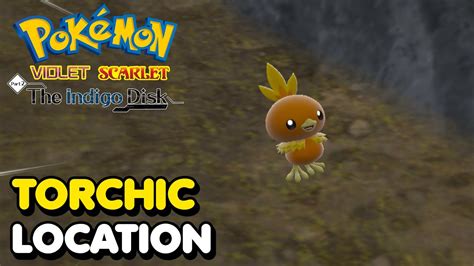 Pokemon Scarlet And Violet Indigo Disk Dlc Torchic Location Youtube