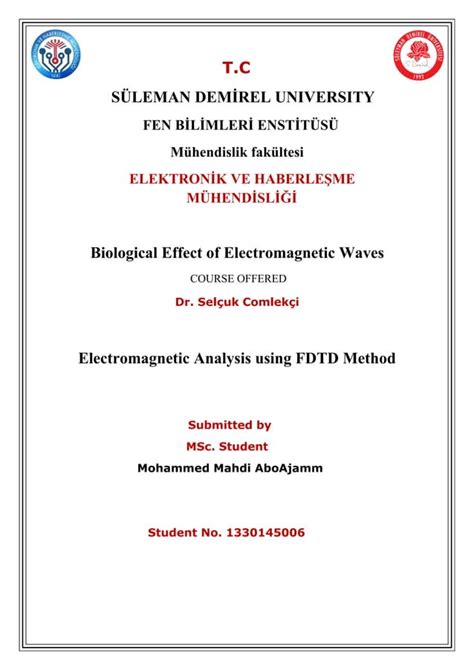 Electromagnetic Analysis Using Fdtd Method Biological Effects Of Em Spectrum Pdf Physics