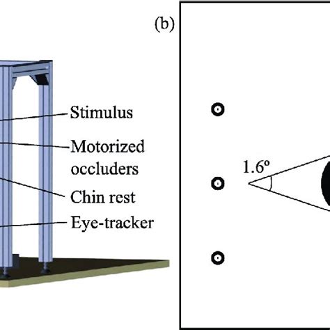 Instrumentation And Visual Stimulus A Schematic Representation Of