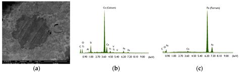 Reinforcement Corrosion Testing In Concrete And Fiber Reinforced