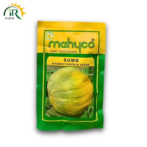 Pumpkin Sumo Hybrid Seed F1 50gm Mahyco Ntl Seed Company Ir