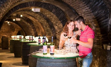 Private Wine Tour Of La Rioja Alavesa Guided Tour In Rioja