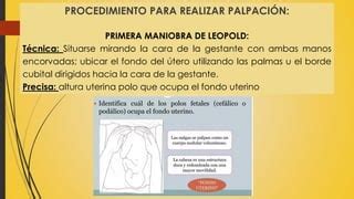 SemiologÍa Pdf