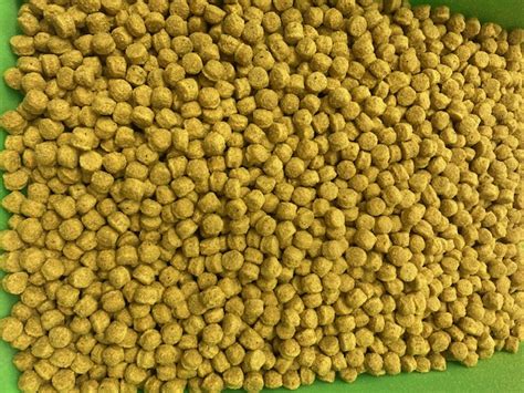 Your Parrot Vital Pellets Herbal Blend Blend Complete Parrot Food