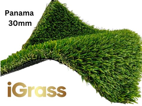 Cape Town Artificial Grass At Donna Bull Blog