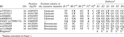 Genotypes Of Seven Selected Informative Markers And The Causative