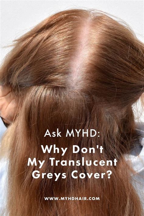 Ask Myhd Why Dont My Translucent Greys Cover Grey Hair Color