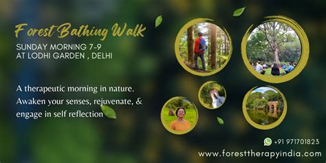 Grounding Nature Walk Forest Bathing In The City Tickets Lodhi