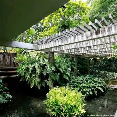 Matéria Do Dw Sobre O Sítio Burle Marx Paisagista Paisagem Cultural