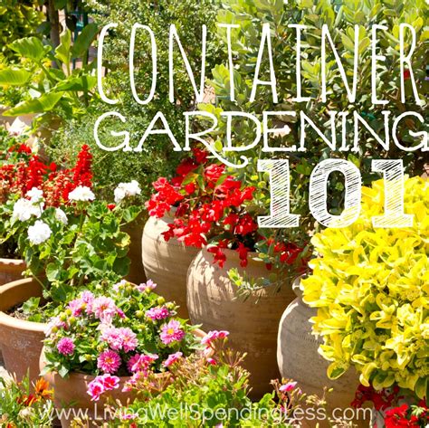 Container Garden Guide For Beginners Organic Gardening 19 Best Tips For Beginning Gardeners