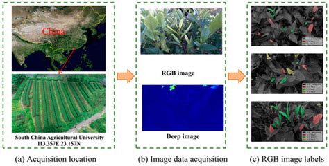 Instance Segmentation And 3d Pose Estimation Of Tea Bud Leaves For Autonomous Harvesting Robots