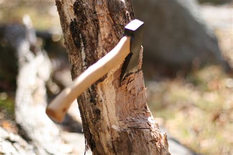 Wood Trekker The Importance Of A Sharp Axe