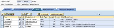 Implementing Pattern Based Partitioning Using The Sap Community