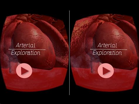 Subconjunctival Enucleation Procedure In The Bunny Ami 2017 Annual