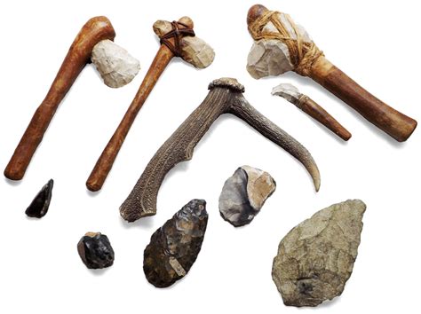 What Materials Were Used In Paleolithic Art At Phoebe Tindal Blog