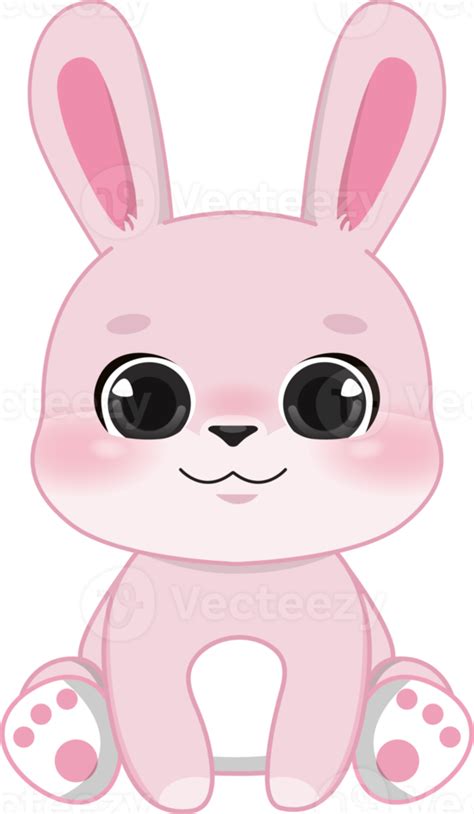 Pink Rabbit